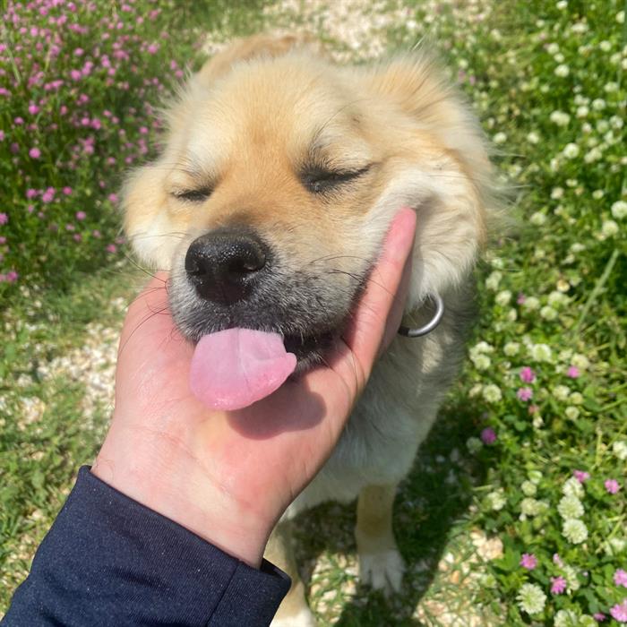 kullanıcı: ali veli konya - ekşi sözlük