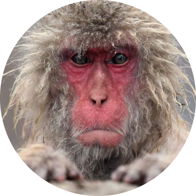 16 şubat 2025 fenerbahçe beko beşiktaş maçı - ekşi sözlük