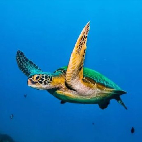 kullanıcı: big bubble - ekşi sözlük