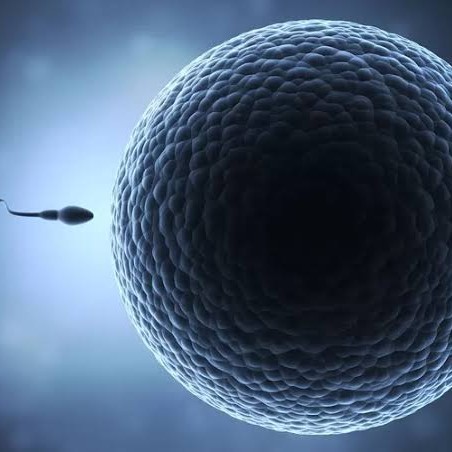 kendini ifade edemeyen insan - ekşi sözlük