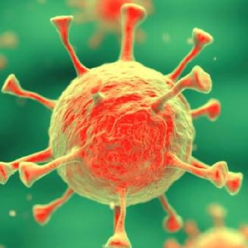 kullanıcı: cavid19 - ekşi sözlük