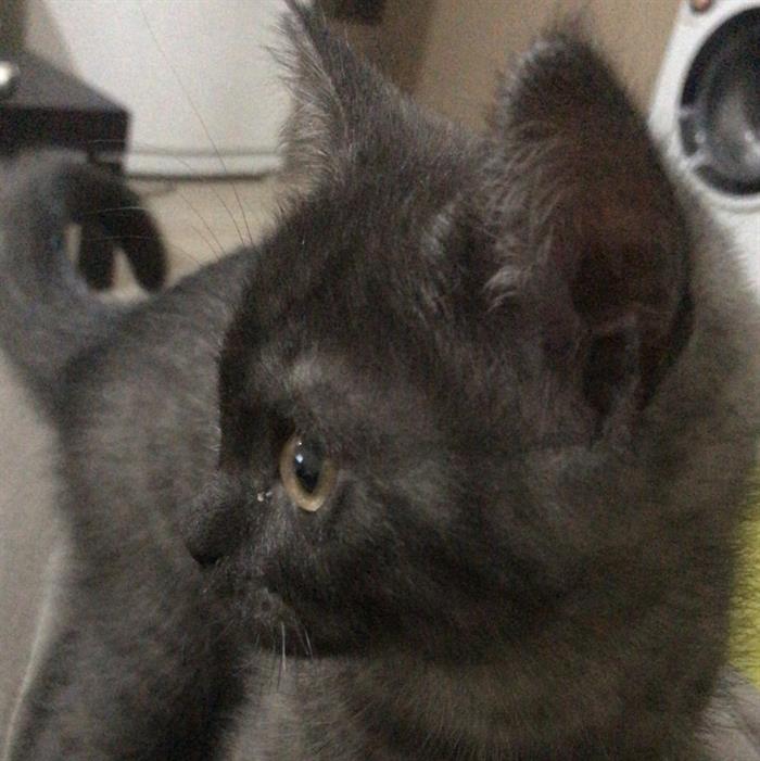 kullanıcı: contra legem - ekşi sözlük