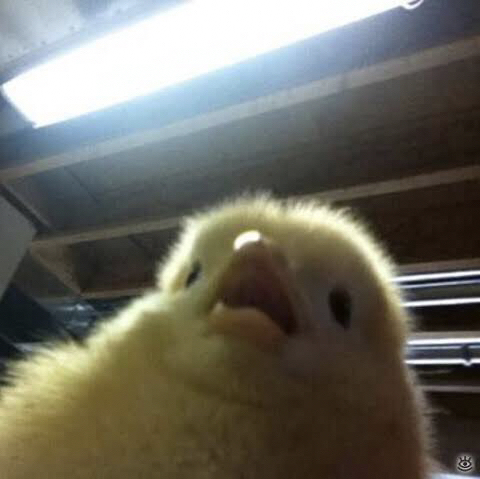 kullanıcı: devilbehindyou - ekşi sözlük