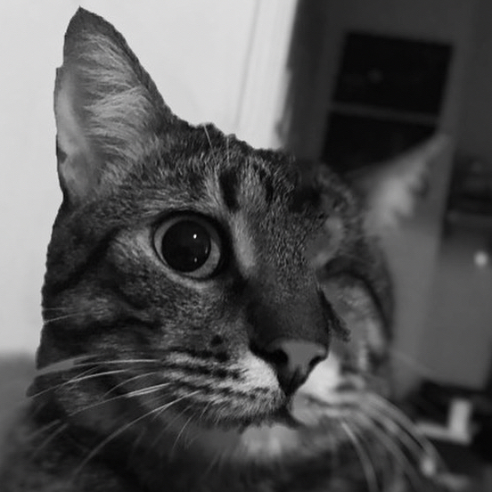 the dark knight - ekşi sözlük