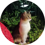 kullanıcı: filleriunutmam - ekşi sözlük