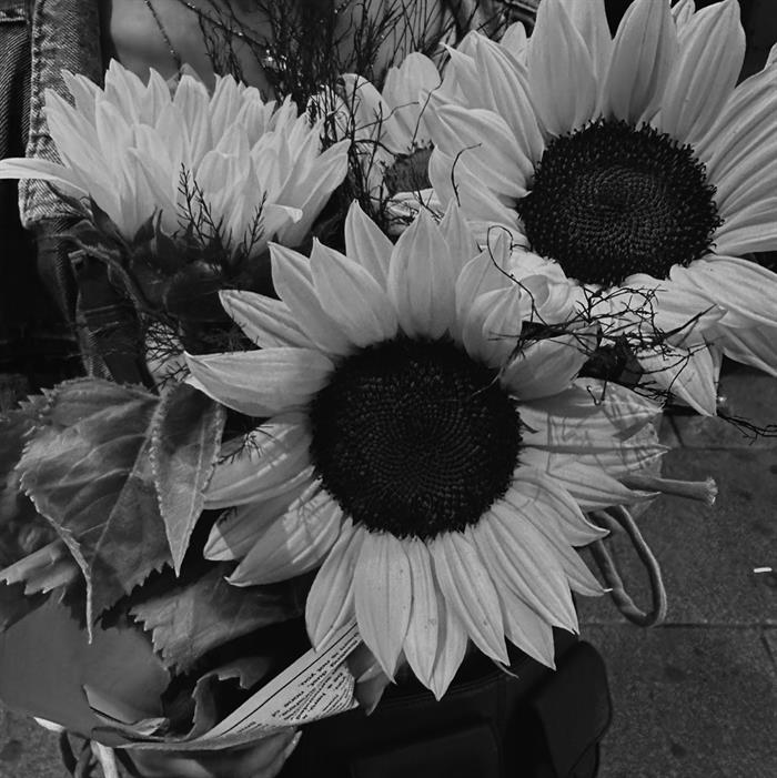 63 style - ekşi sözlük