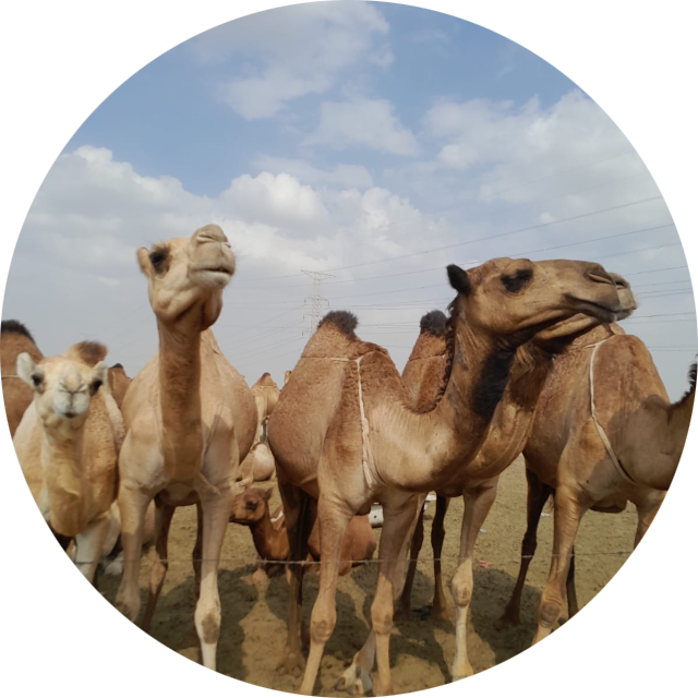 kullanıcı: mrbobbybongobong - ekşi sözlük