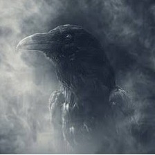 kullanıcı: puslu karga - ekşi sözlük