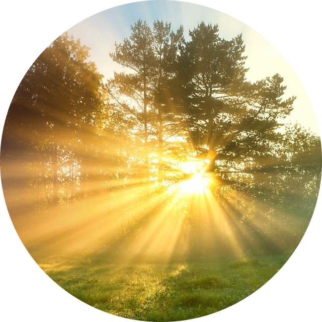 kullanıcı: puzz - ekşi sözlük