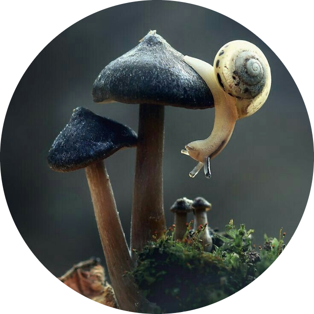 kullanıcı: sen de mi tinnitus - ekşi sözlük