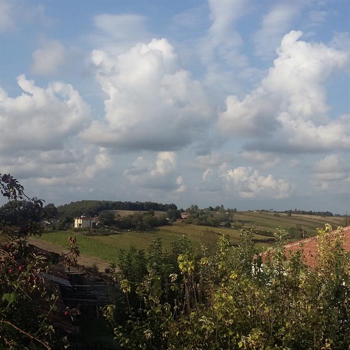 kullanıcı: shehper - ekşi sözlük