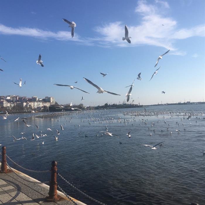 kullanıcı: yes nick1 - ekşi sözlük