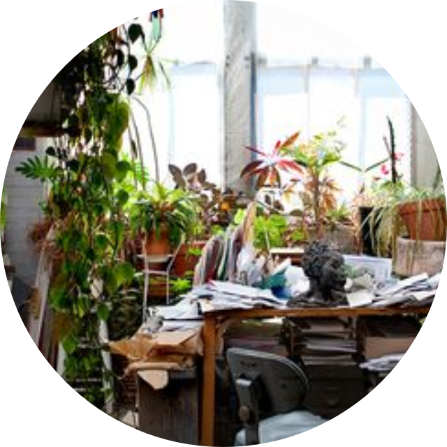 kullanıcı: zeneca - ekşi sözlük